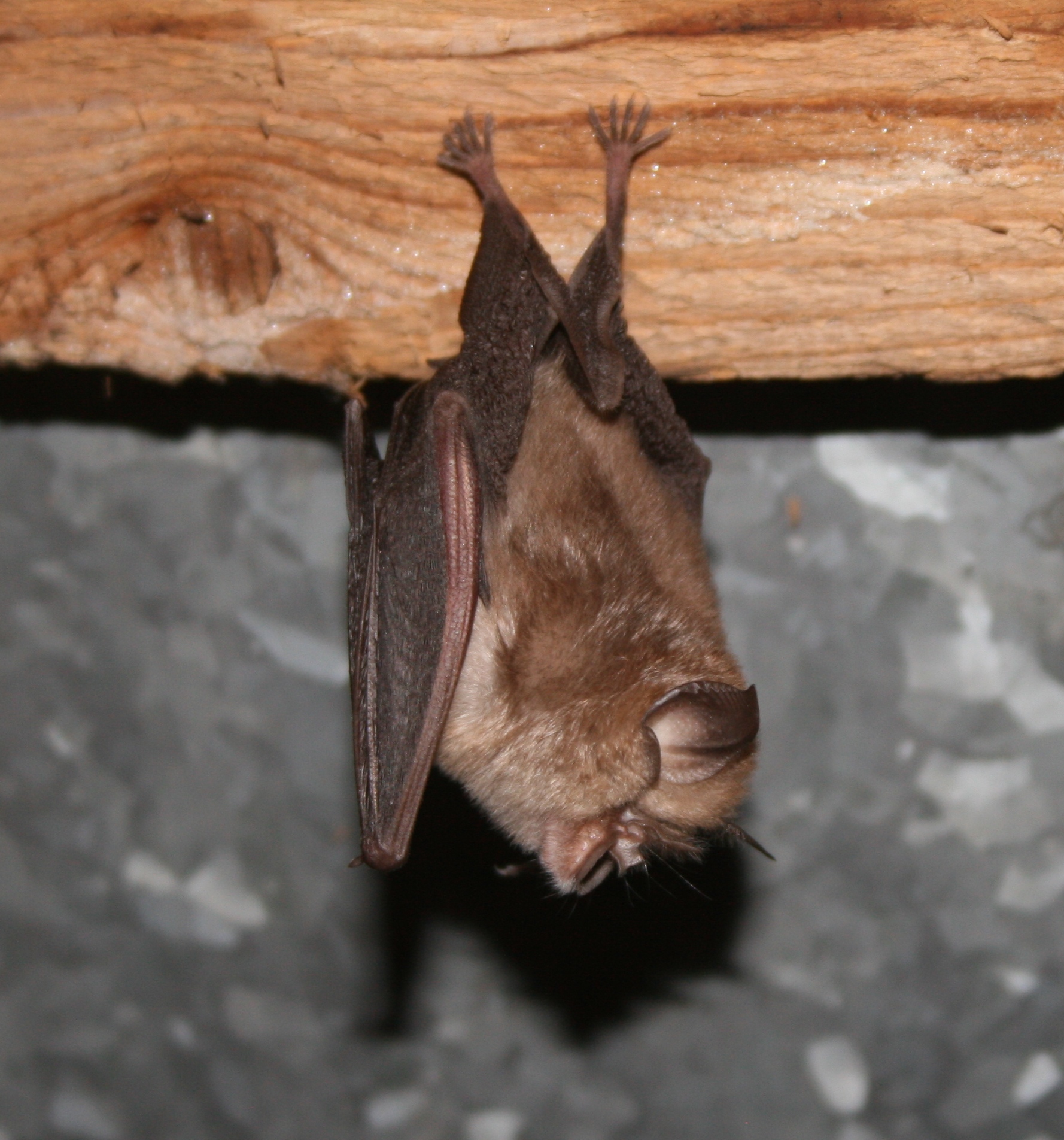 Happy New Year 2021! - ERAP